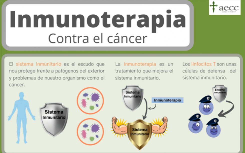 Chemo Brain o Quimiocerebro: ¿Qué es? - AECC
